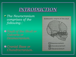 Cranial vault development | PPT | Free Download