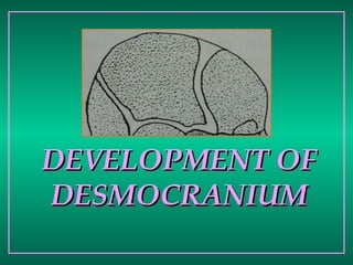 Cranial vault development | PPT | Free Download