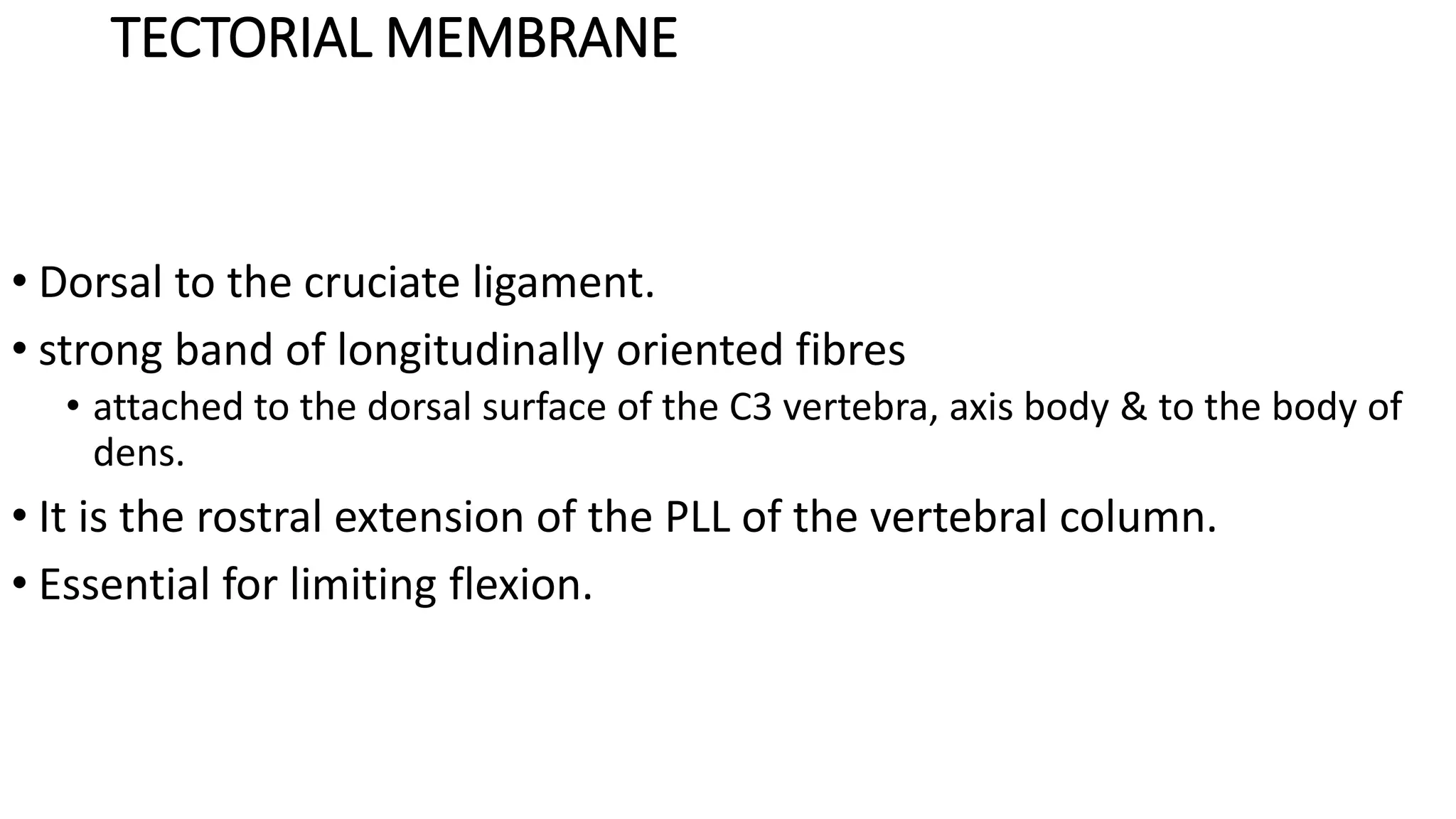 Cranio vertebral junction (CV Junction) - Dr Sameep Koshti (Consultant ...