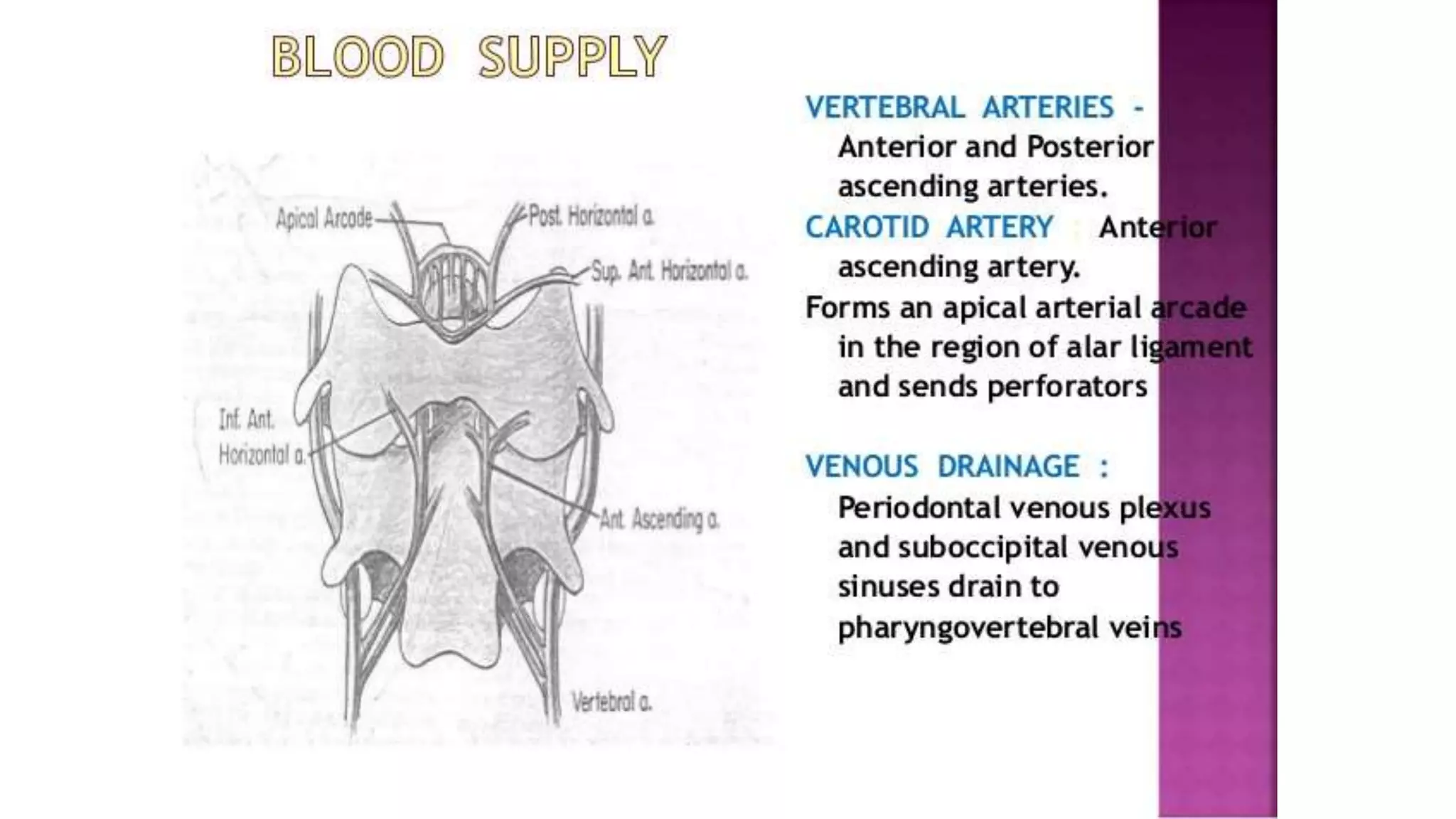 Cranio vertebral junction (CV Junction) - Dr Sameep Koshti (Consultant ...