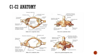 CRANIO-VERTEBRAL JUNCTION (CVJ) LINES-ANGLES | PPTX