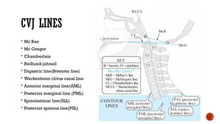 CRANIO-VERTEBRAL JUNCTION (CVJ) LINES-ANGLES | PPTX