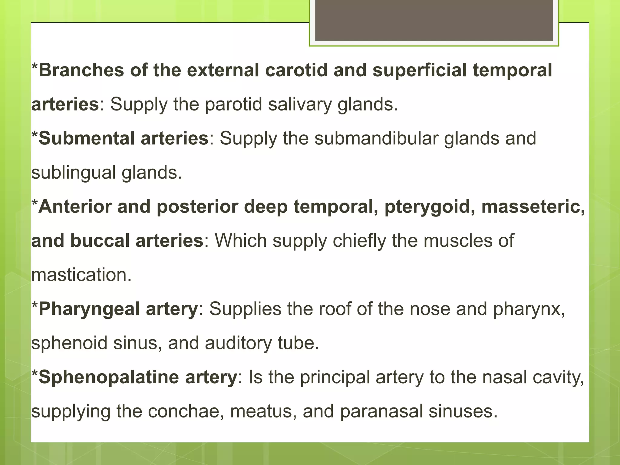 Blood Supply of the Face & Mouth | PPTX