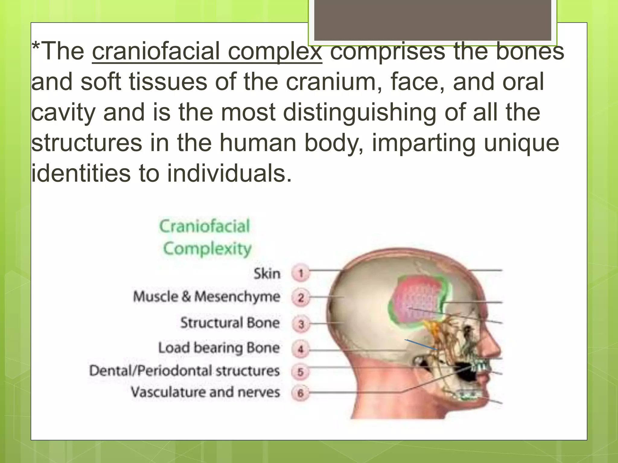 Blood Supply of the Face & Mouth | PPTX