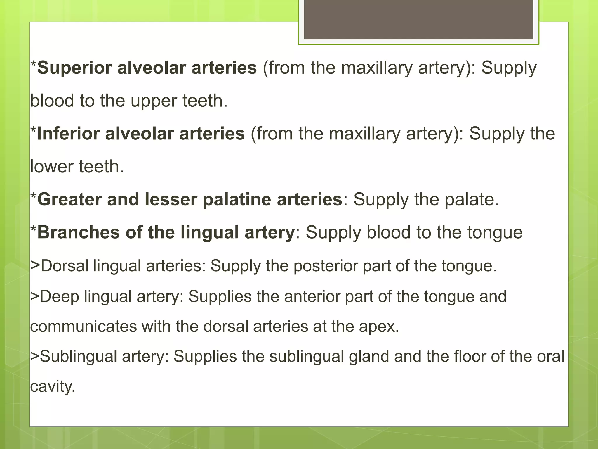 Blood Supply of the Face & Mouth | PPTX