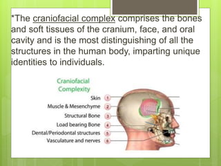 Blood Supply of the Face & Mouth | PPTX