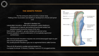 CRANIOFACIAL DEVELOPMENT OF SKULL AND CRANIUM.pptx