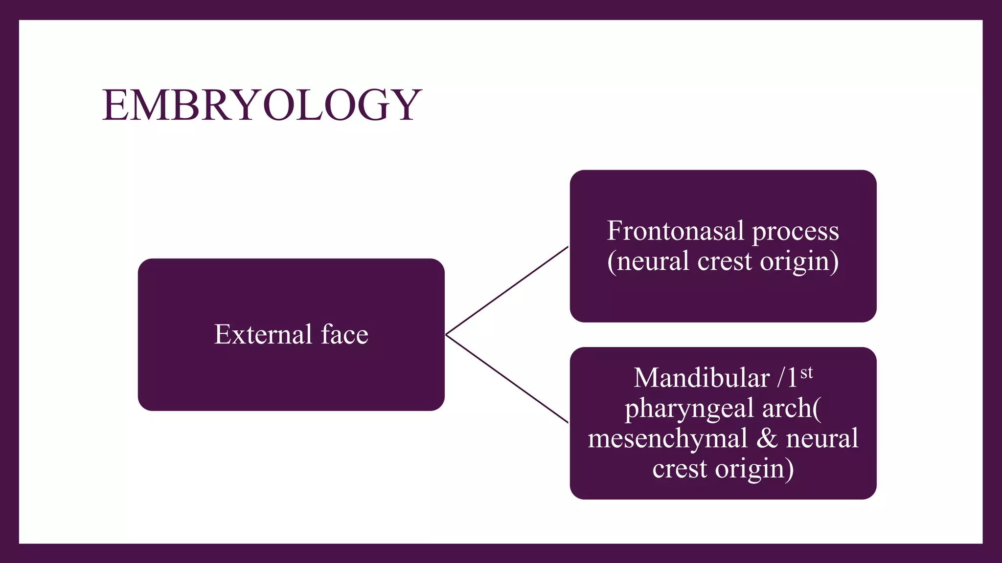 Craniofacial embryology | PPTX