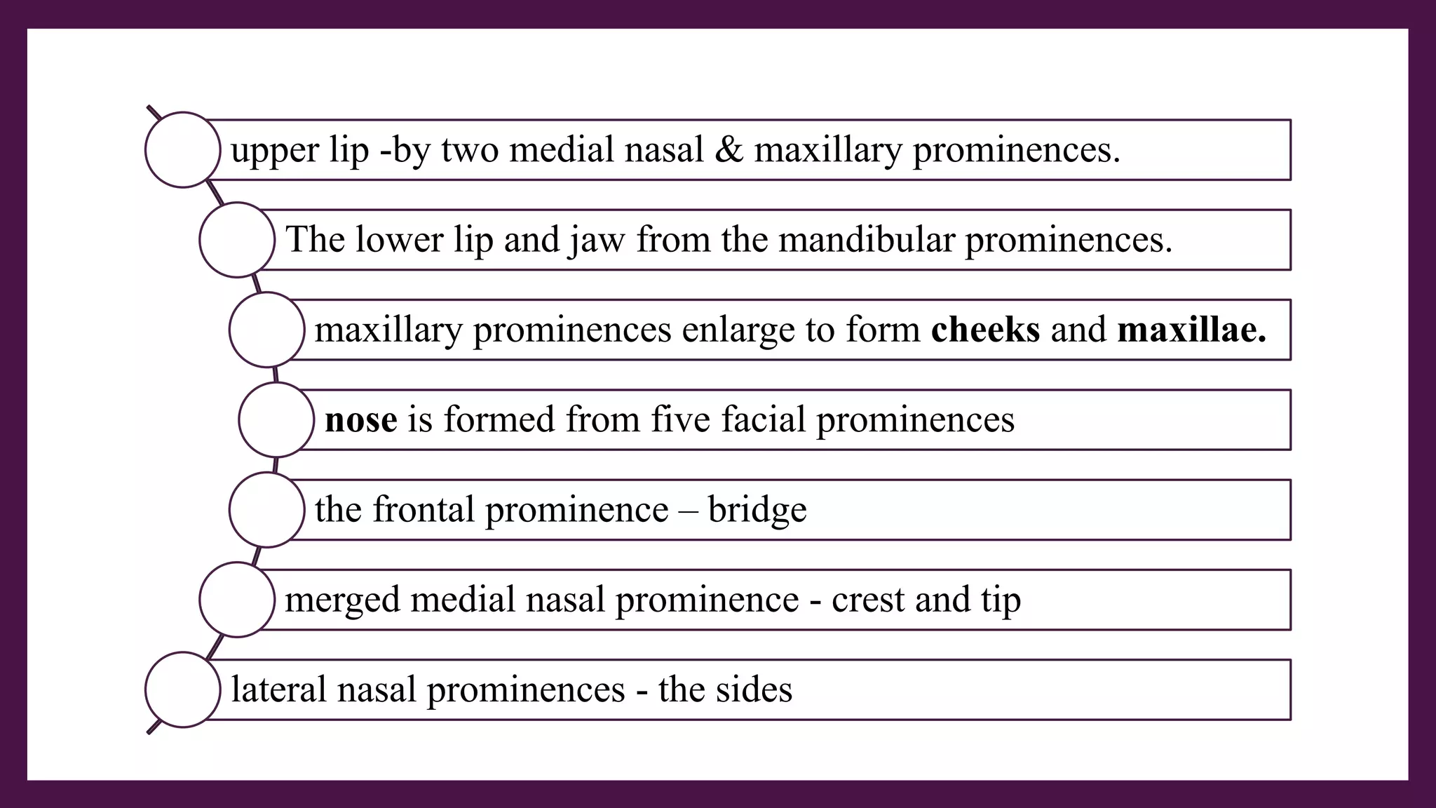 Craniofacial embryology | PPTX