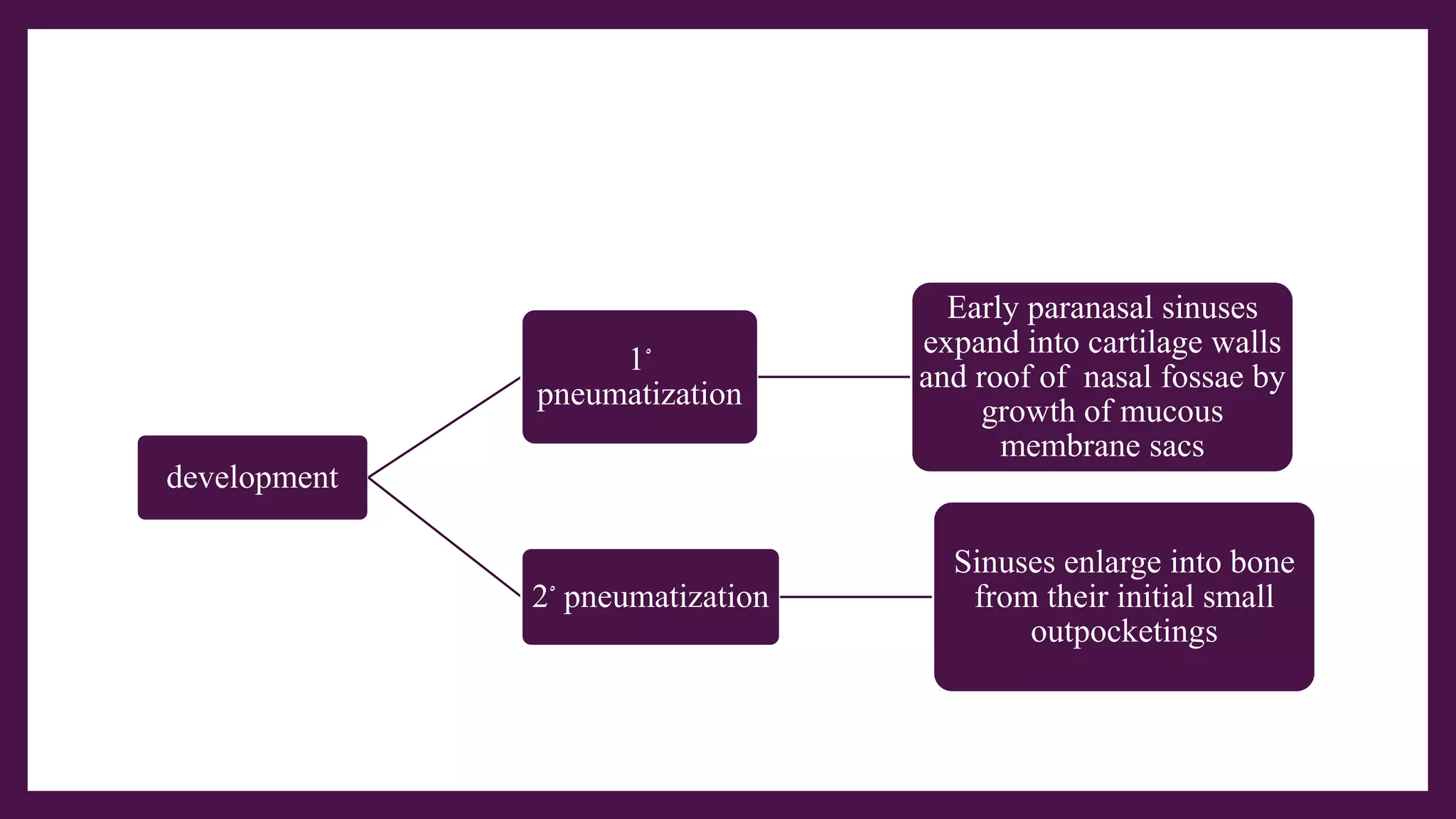 Craniofacial embryology | PPTX