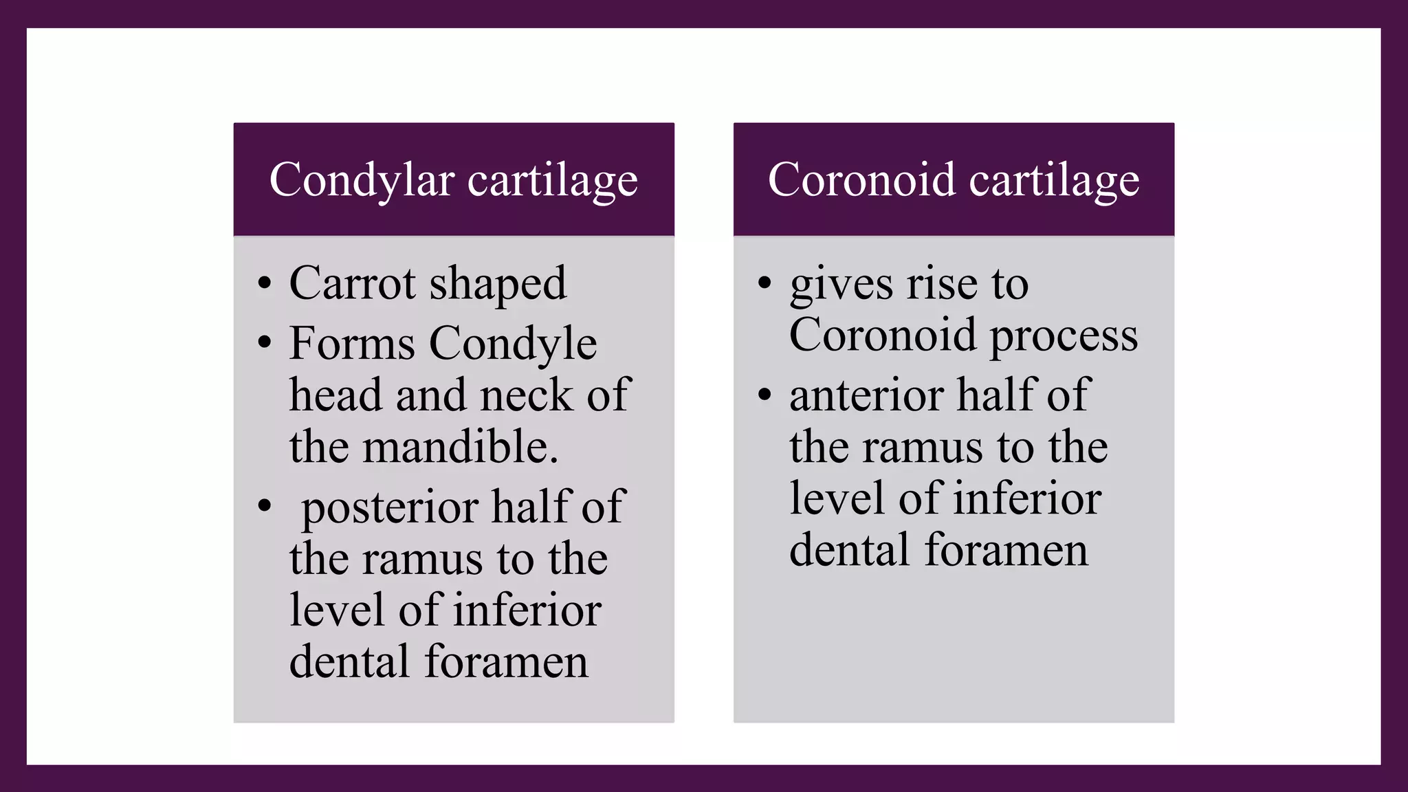 Craniofacial embryology | PPTX