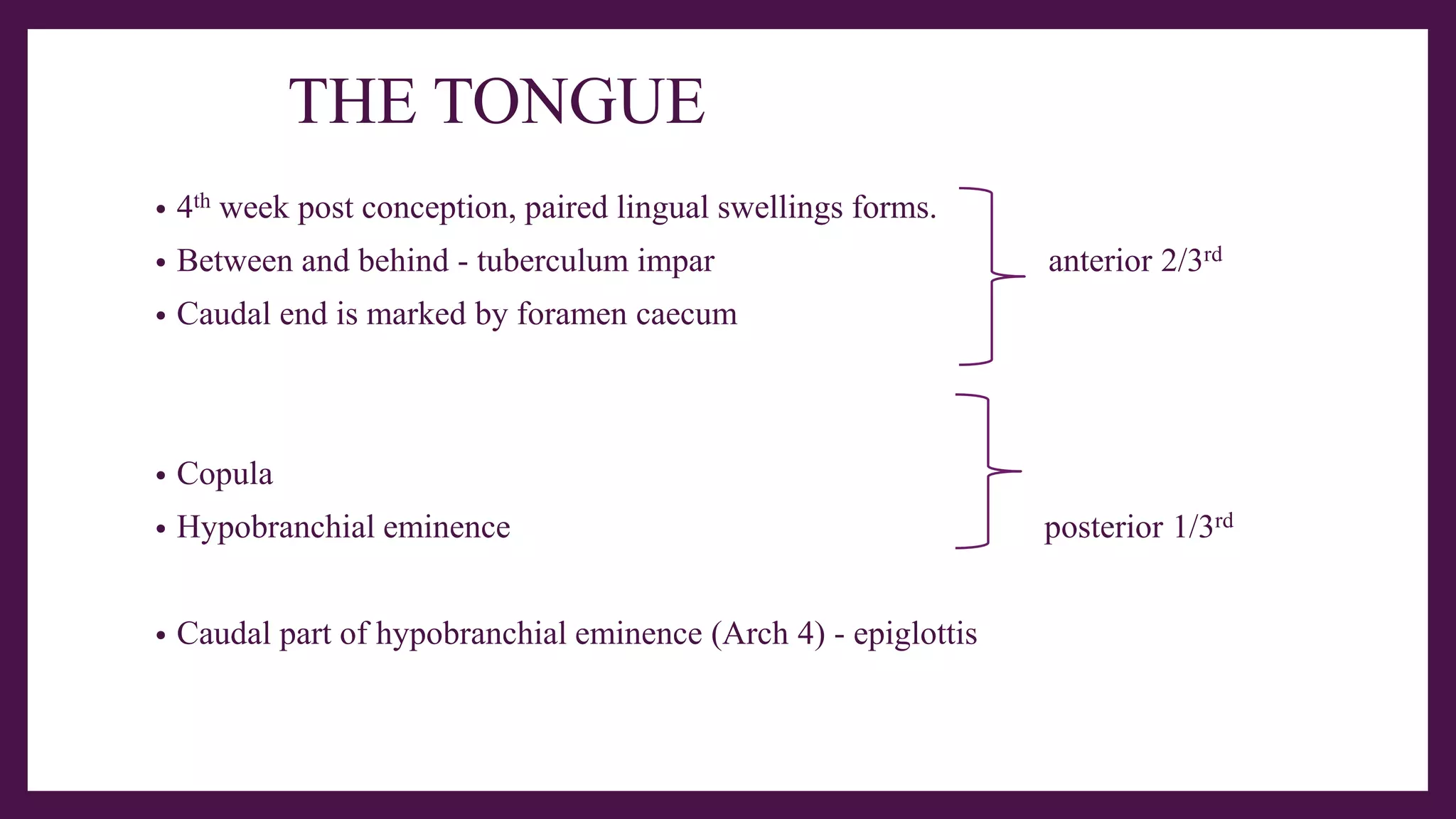 Craniofacial embryology | PPTX