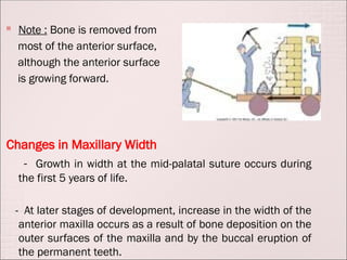 CRANIOFACIAL_GROWTH_AND_DEVELOPMENT_POSTNATAL_part2.ppsx