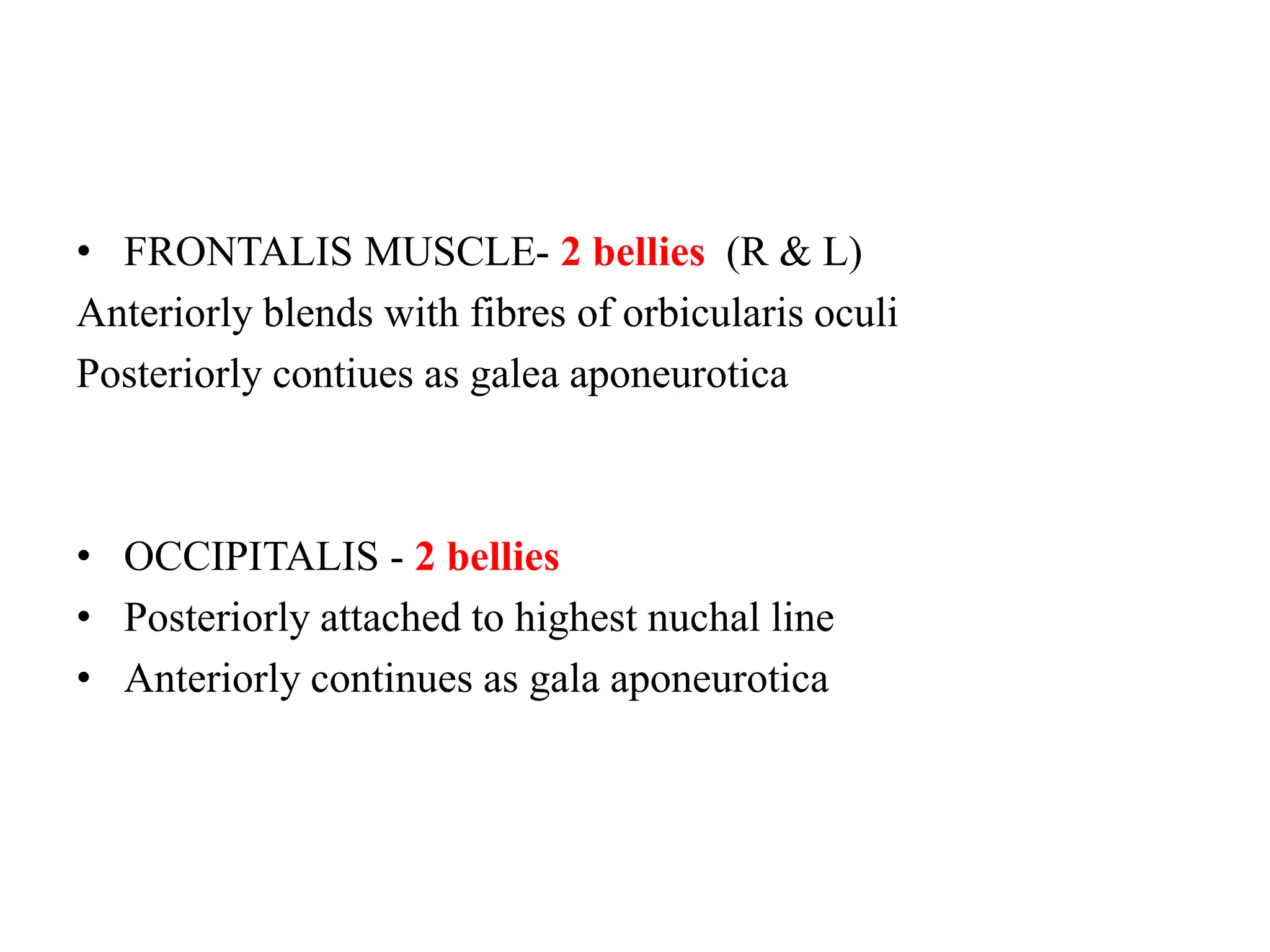 CRANIOFACIAL MUSCLES BSC NURSING.pptx
