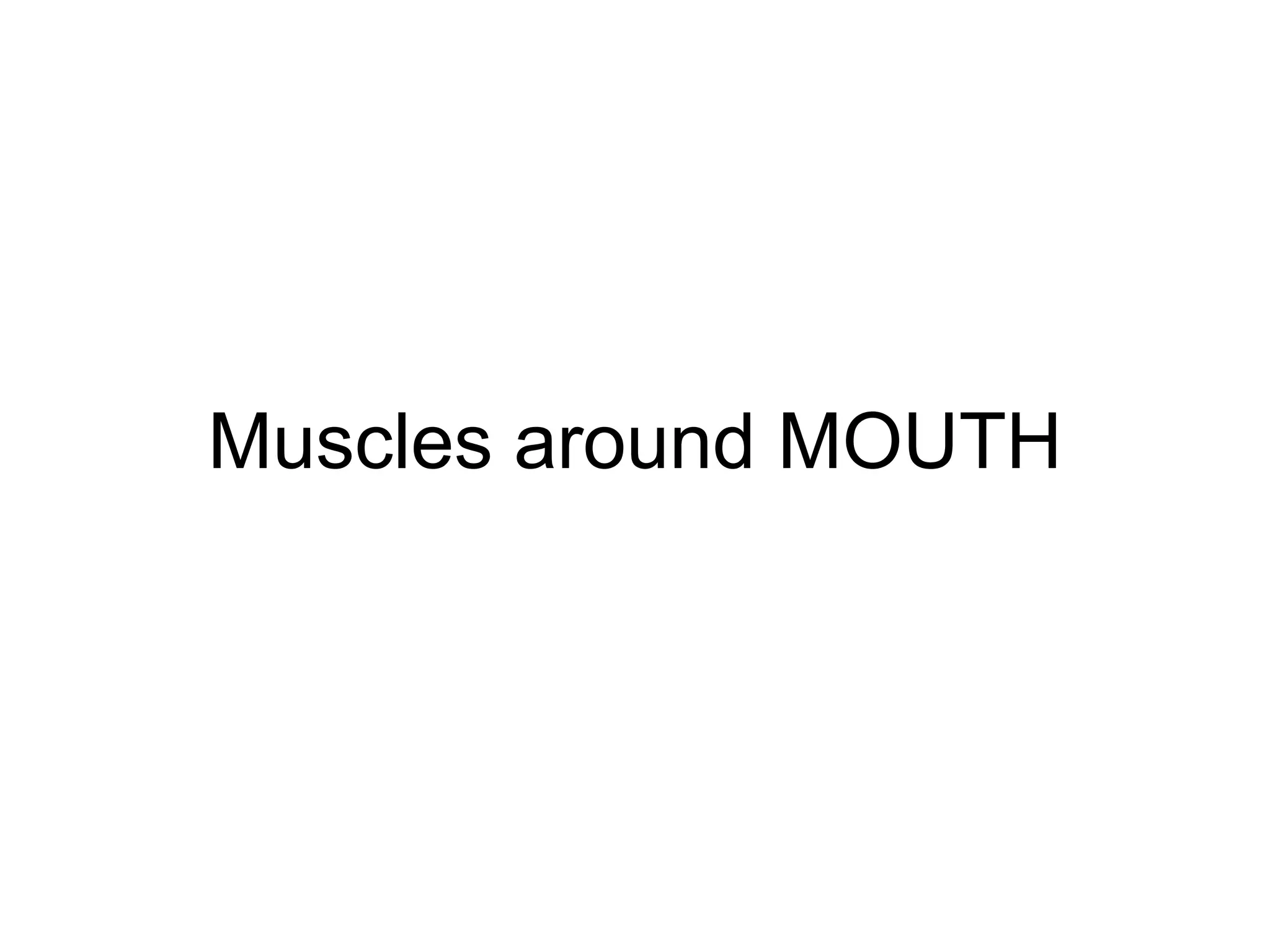 CRANIOFACIAL MUSCLES BSC NURSING.pptx