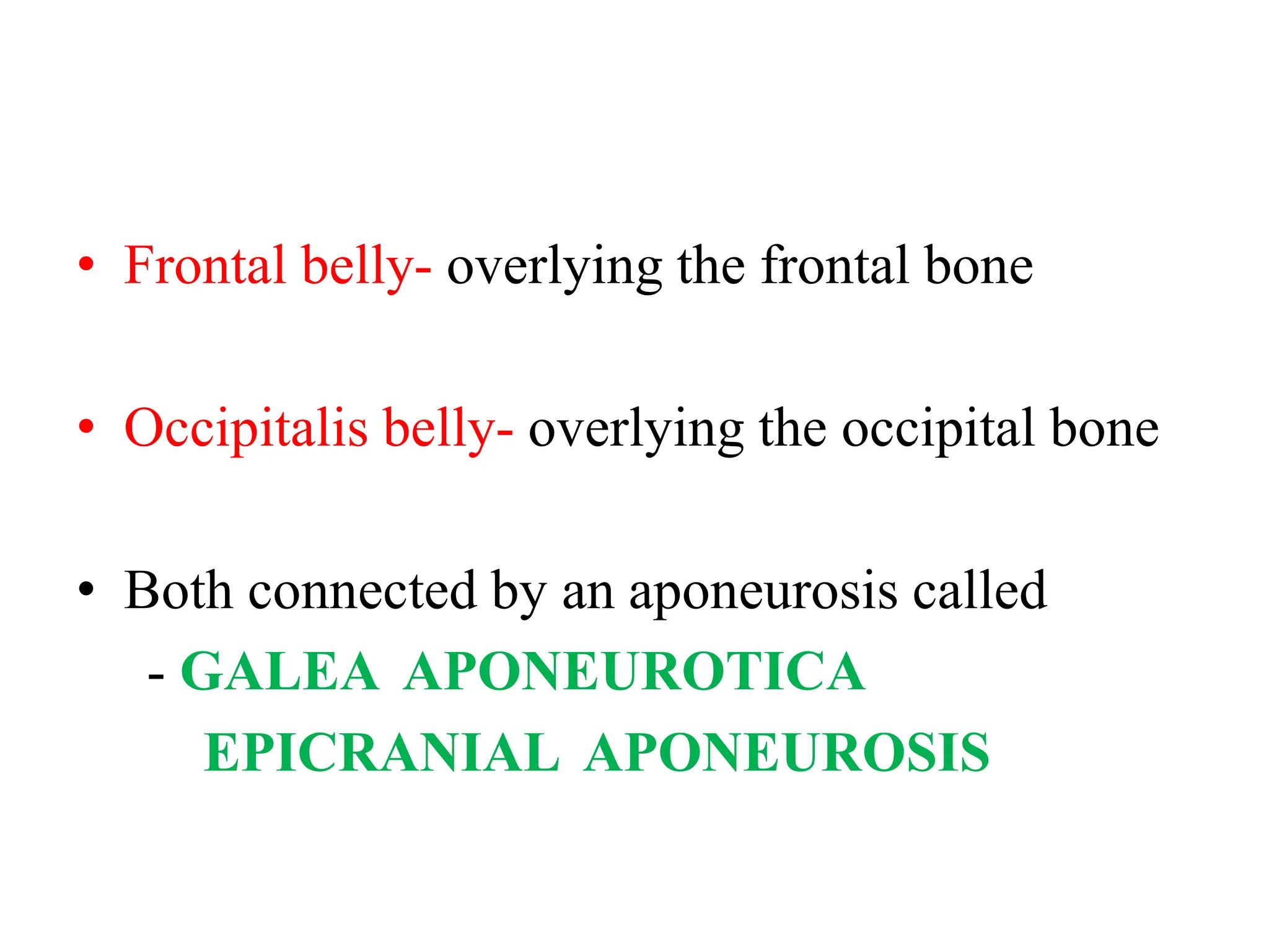 CRANIOFACIAL MUSCLES BSC NURSING.pptx