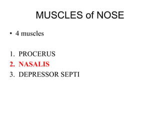 CRANIOFACIAL MUSCLES BSC NURSING.pptx