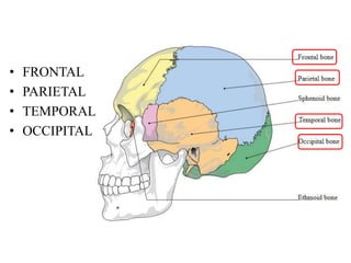 CRANIOFACIAL MUSCLES BSC NURSING.pptx