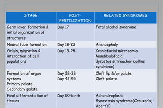 Craniofacial syndromes in orthodontics and the affect in the ortho ...