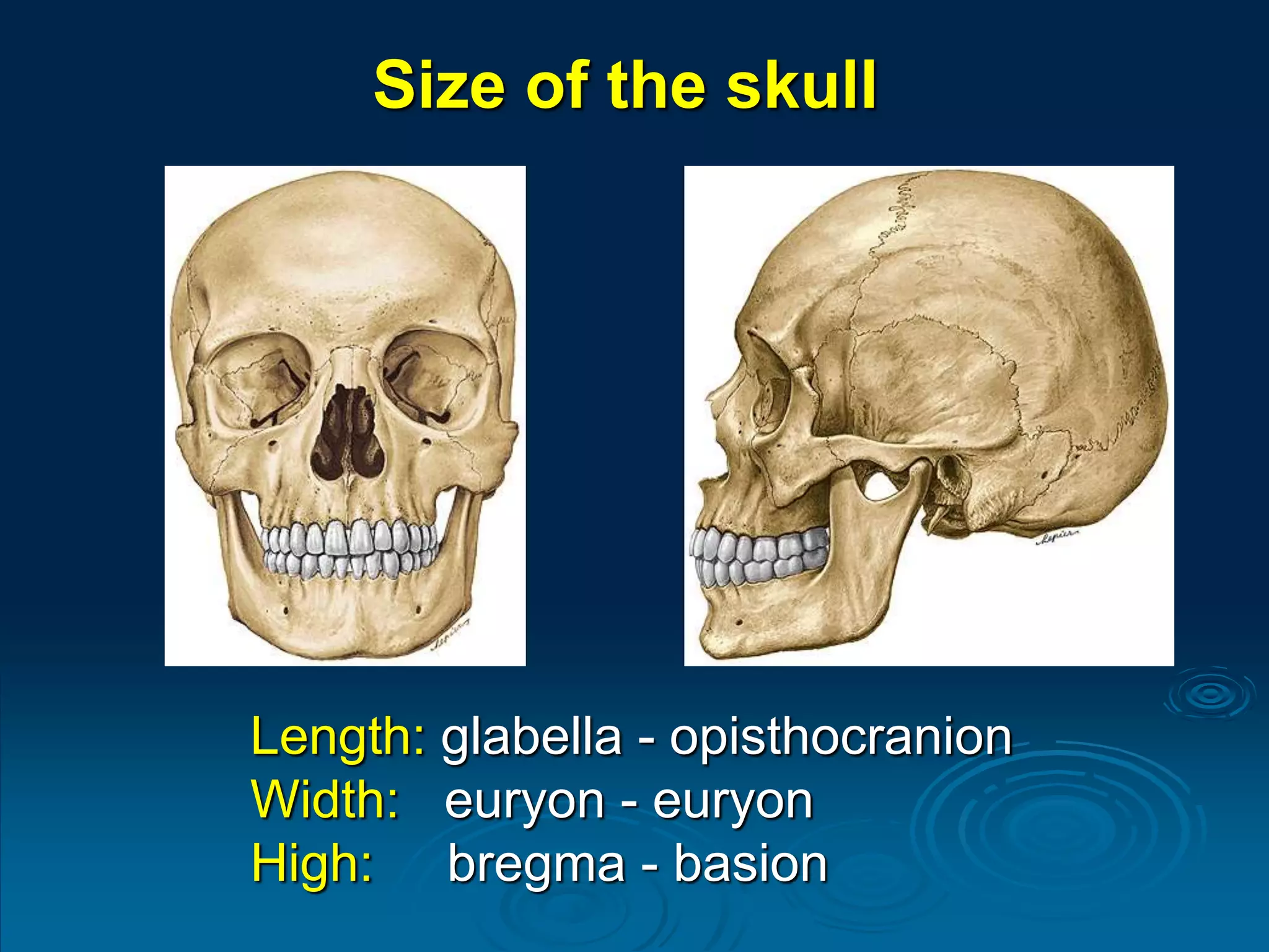 Craniometry.ppt
