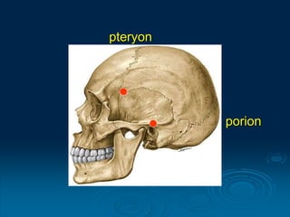 Craniometry.ppt
