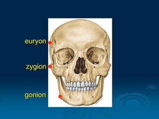 Craniometry.ppt