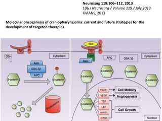 Craniopharyngioma-full lecture | PPTX