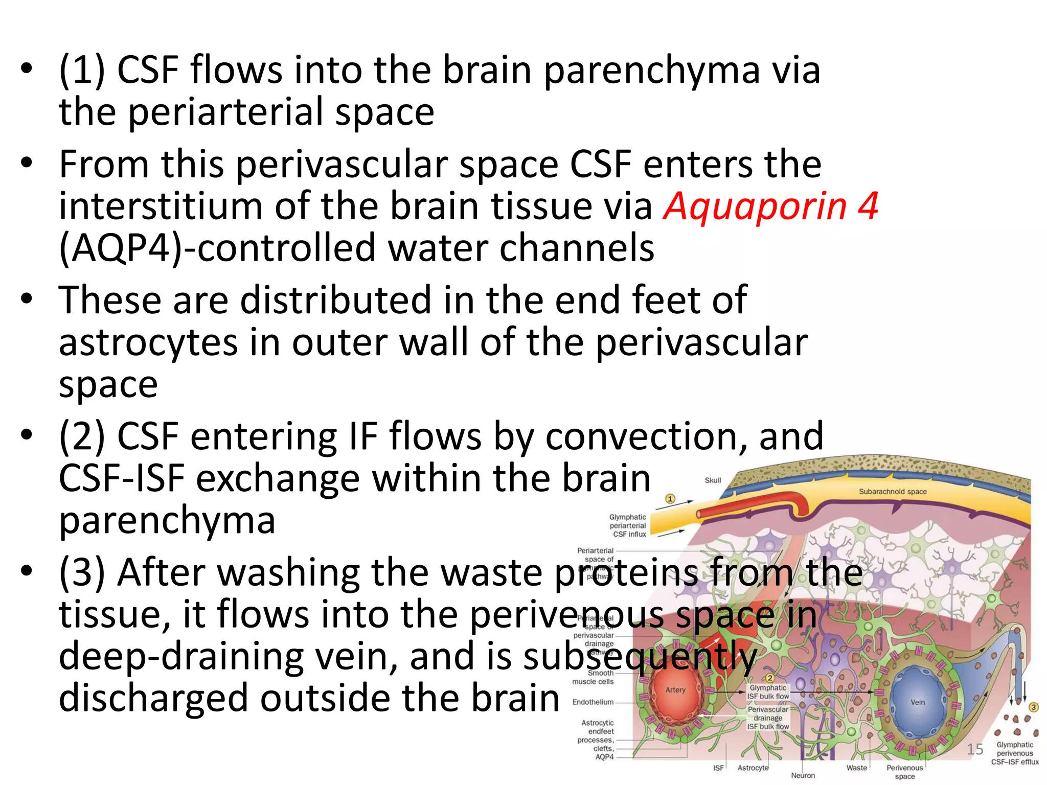 Craniosacral osteopathy | PPTX