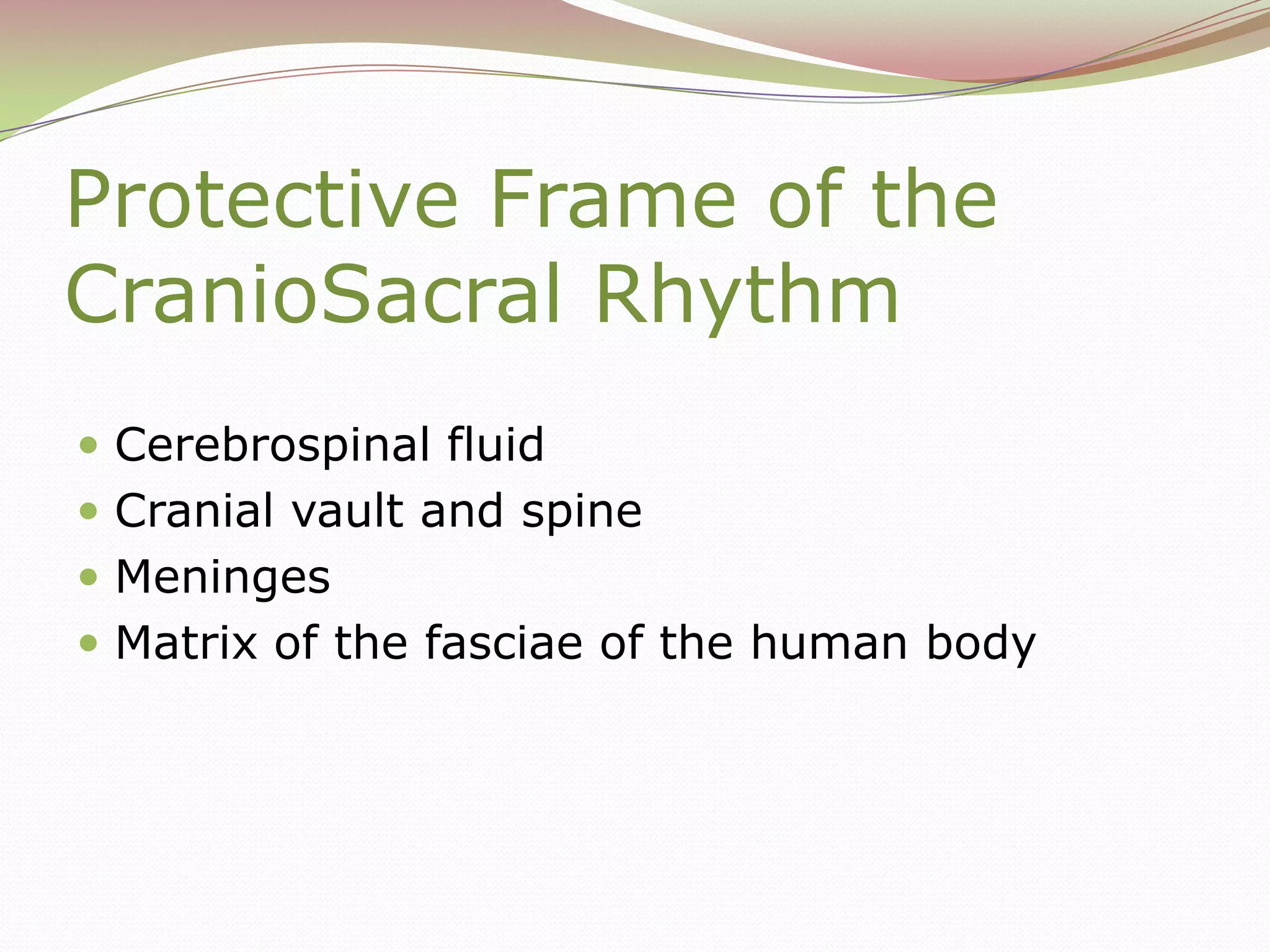Cranio sacral powerpoint | PPTX