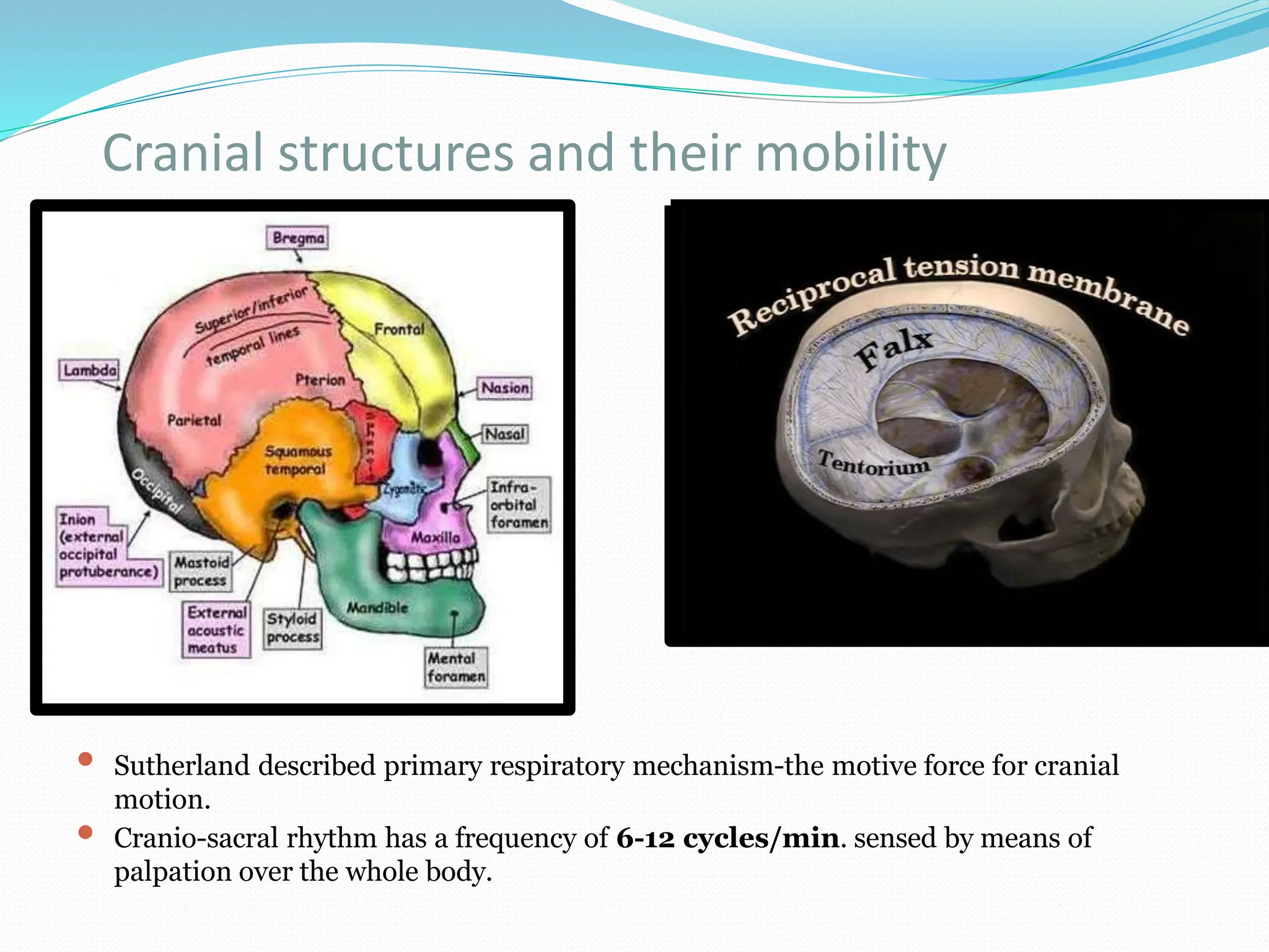 introduction to craniosacral therapy - basics | PPTX