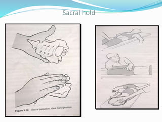 introduction to craniosacral therapy - basics | PPTX