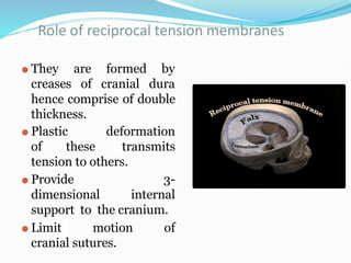 introduction to craniosacral therapy - basics | PPTX