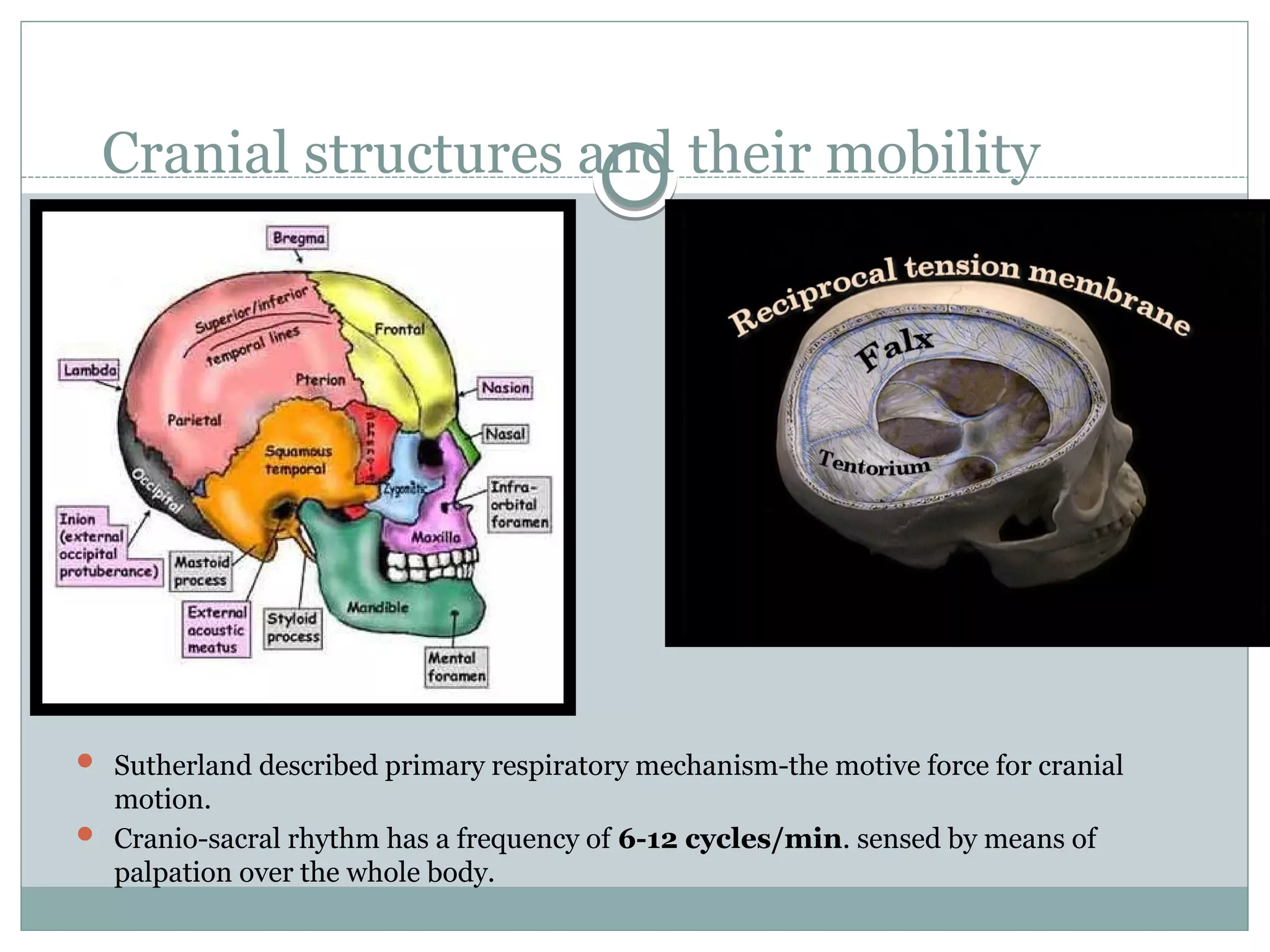 Craniosacral therapy | PDF