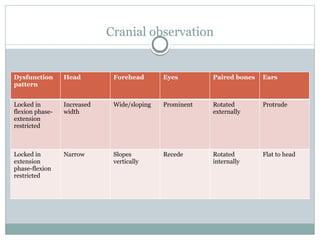 Craniosacral therapy | PDF