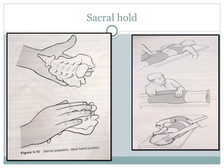 Craniosacral therapy | PDF