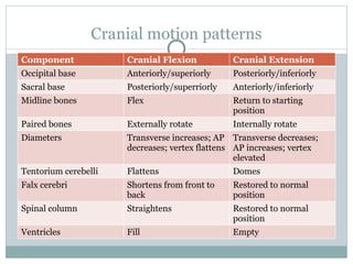 Craniosacral therapy | PDF