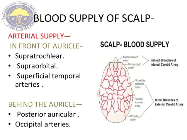 CRANIOTOMY FLAPS ,INCISION AND CLOSURE.pdf