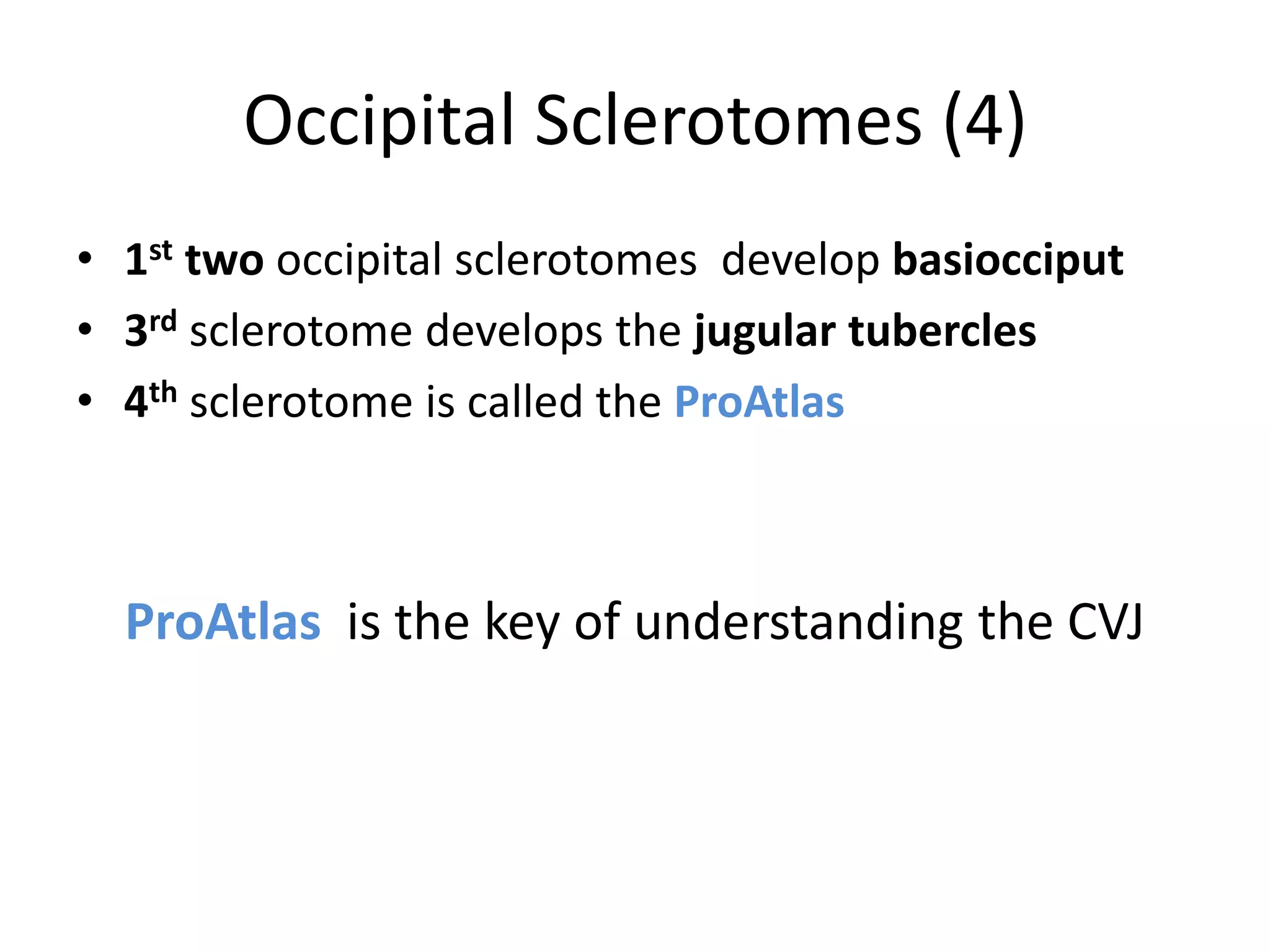 Craniovertebral junction cvj embryology | PPTX