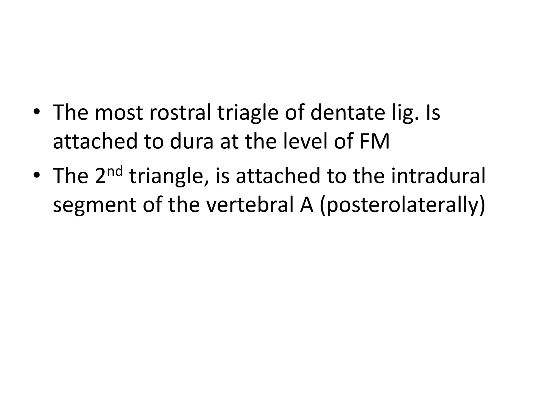 Craniovertebral junction cvj embryology | PPTX