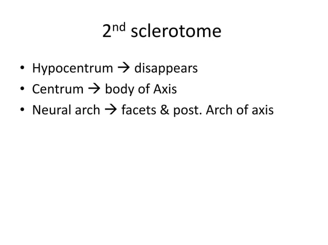 Craniovertebral junction cvj embryology | PPTX