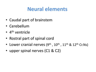 Craniovertebral junction cvj embryology | PPT
