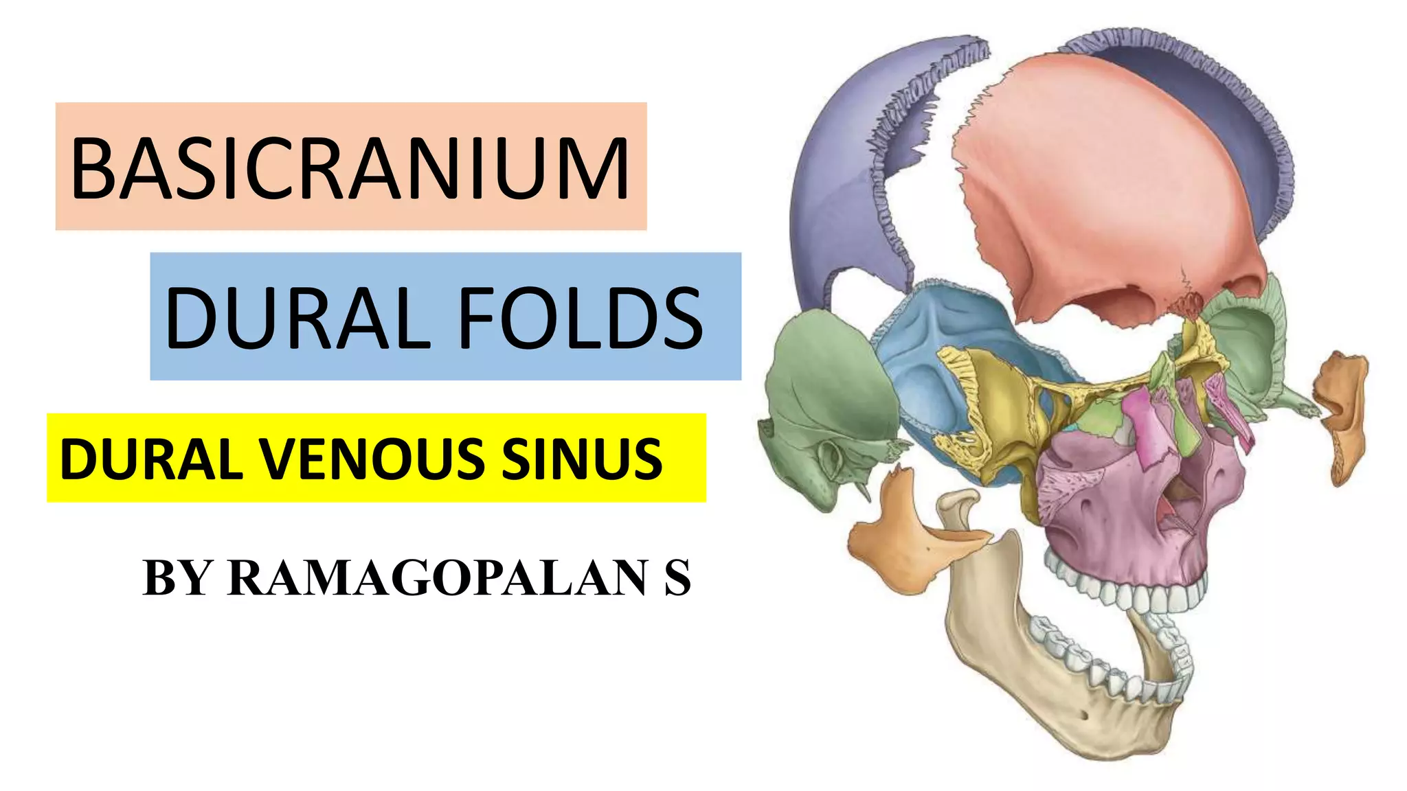 Cranium- anatomy of basi-cranium, dural venous sinus | PPTX