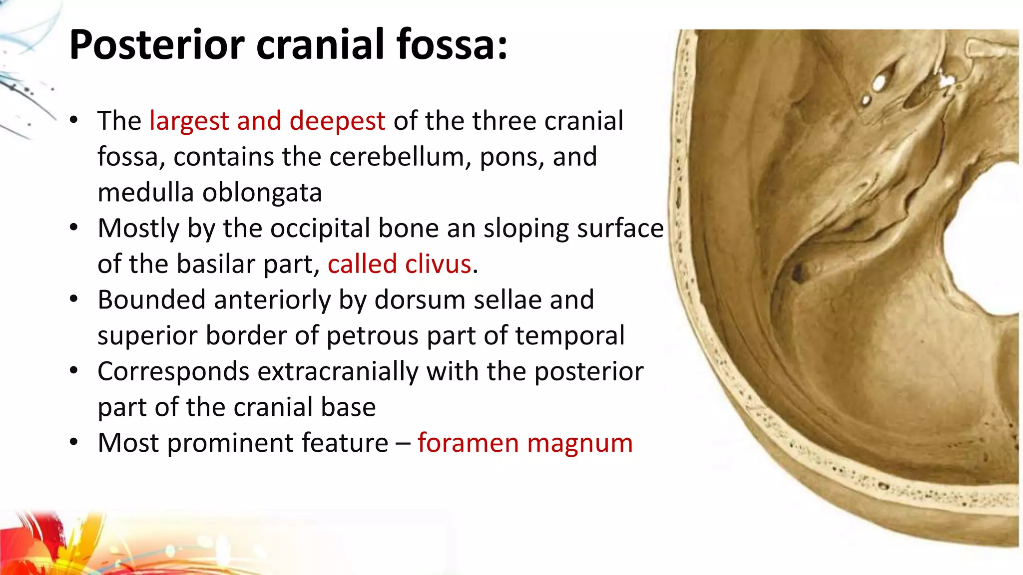 Cranium- anatomy of basi-cranium, dural venous sinus | PPTX