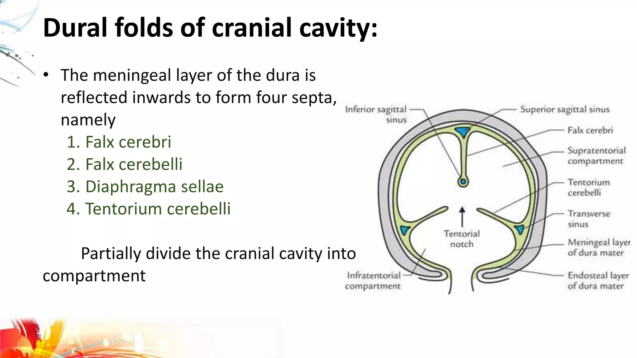 Cranium- anatomy of basi-cranium, dural venous sinus | PPTX