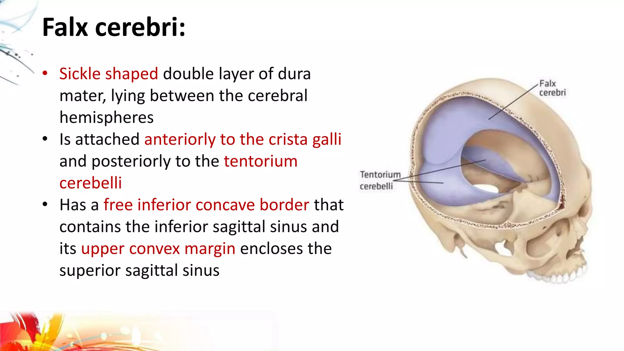 Cranium- anatomy of basi-cranium, dural venous sinus | PPTX