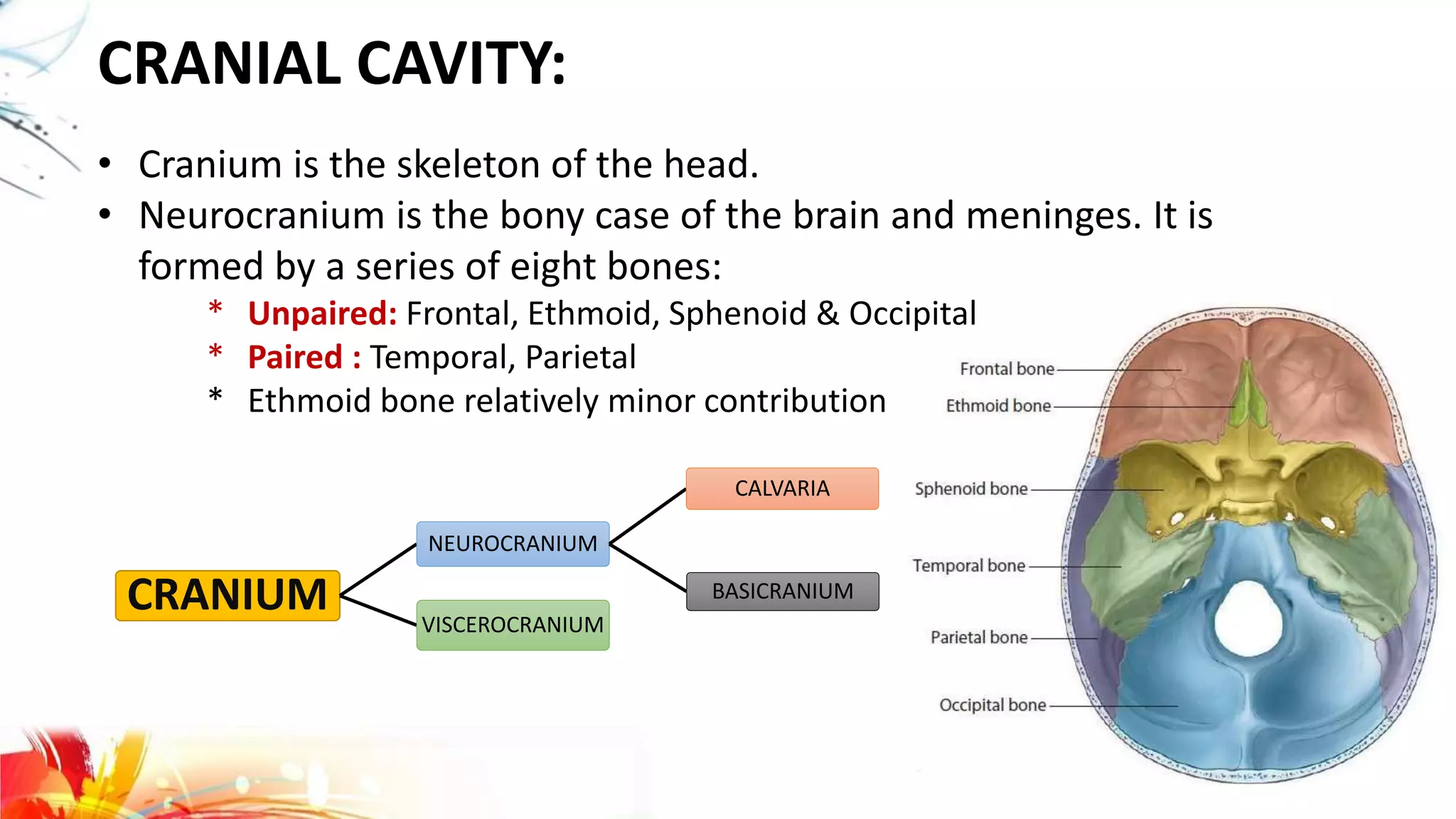 Cranium- anatomy of basi-cranium, dural venous sinus | PPTX