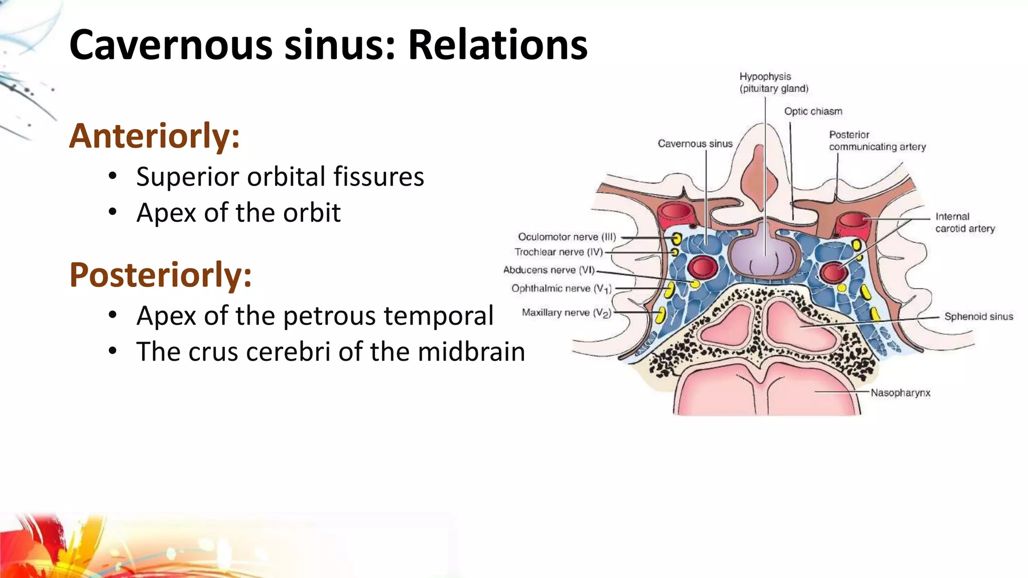 Cranium- anatomy of basi-cranium, dural venous sinus | PPTX