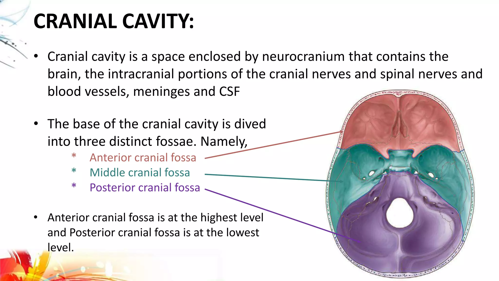 Cranium- anatomy of basi-cranium, dural venous sinus | PPTX