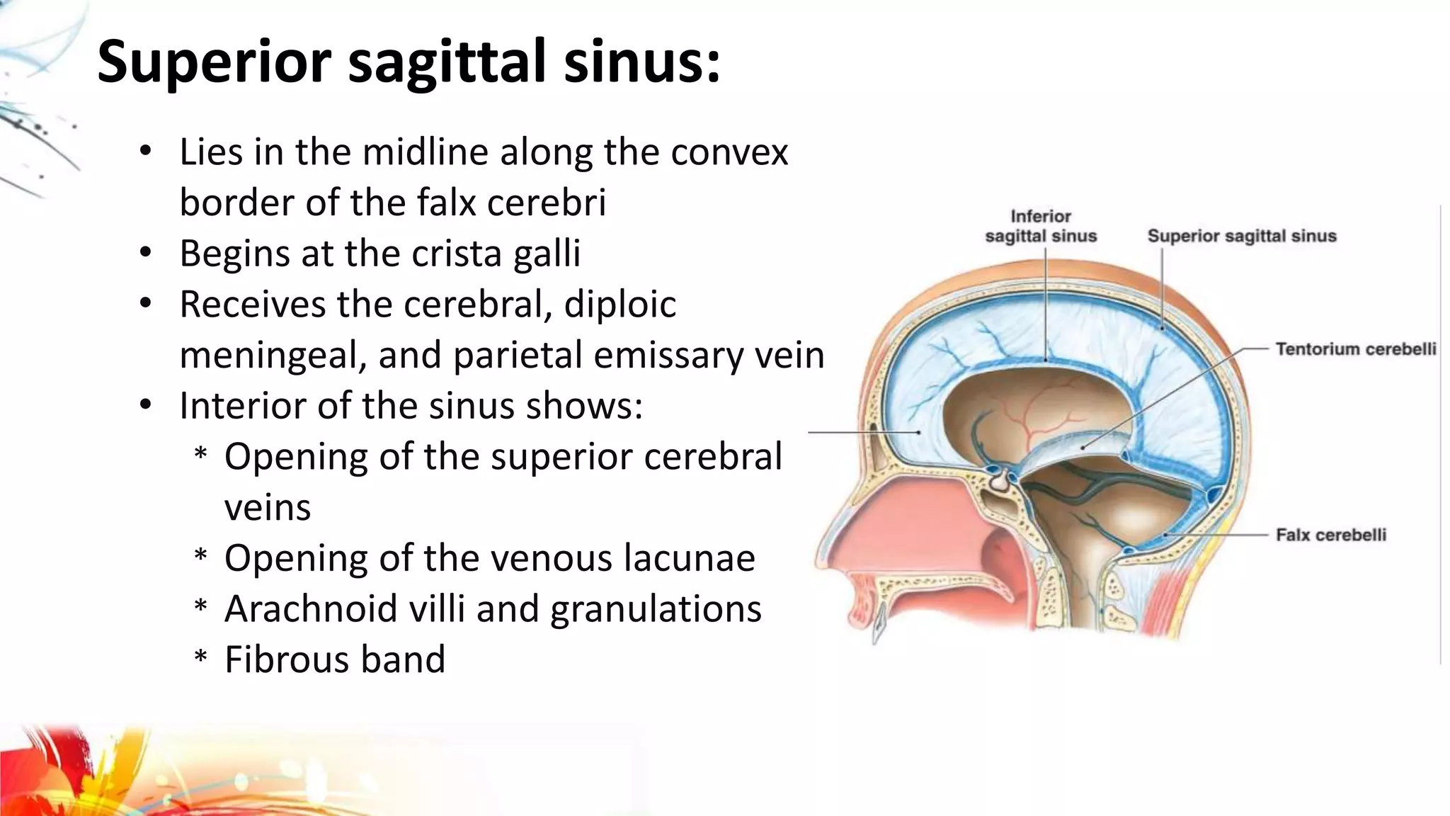 Cranium- anatomy of basi-cranium, dural venous sinus | PPTX