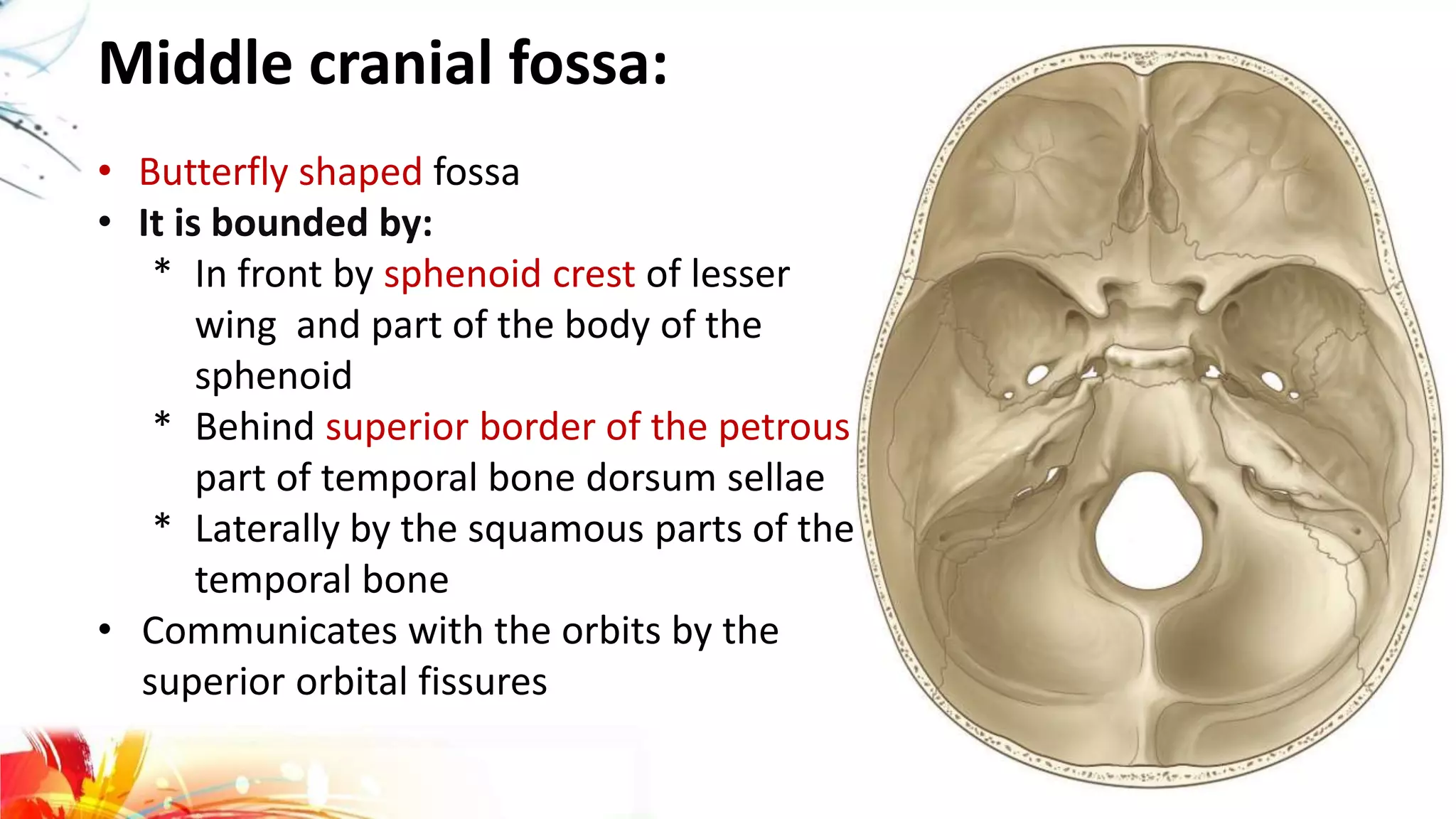 Cranium- anatomy of basi-cranium, dural venous sinus | PPTX